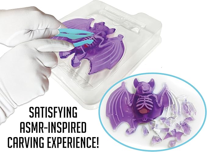 Dissect It | Bat Lab – Johnson and Co. General Store