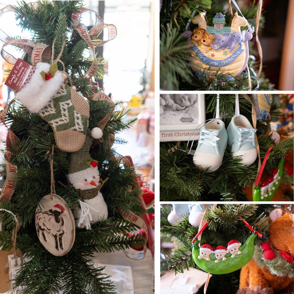 Johnson and Co. General Store